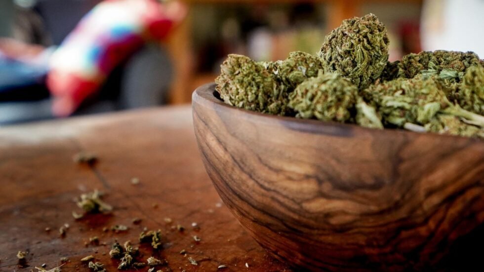 Differences Between Indica, Sativa, and Hybrid Strains